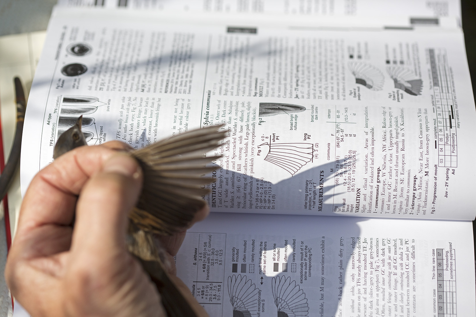 Education – Clinton Devon Estate